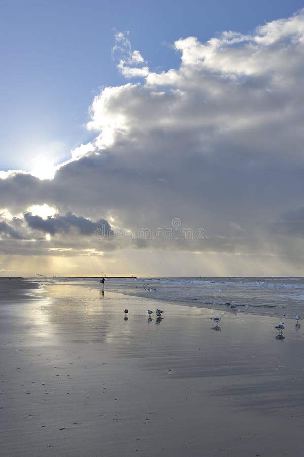 Bright Sun Rays on the Beach Stock Image - Image of seagulls, clouds ...