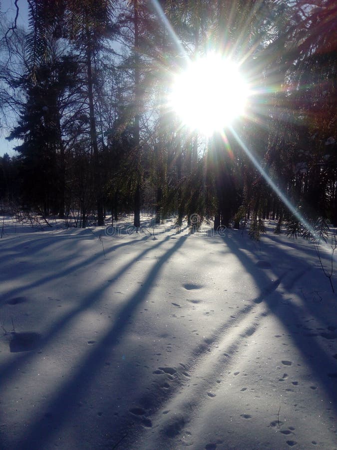 Bright Sun. Sun Set Dawn Sun Unusual Rays from the Sun Stock Photo ...