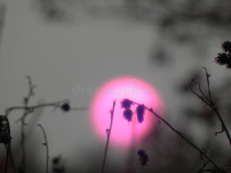 Bright Sun. Sun Set Dawn Sun Unusual Rays from the Sun Stock Photo ...