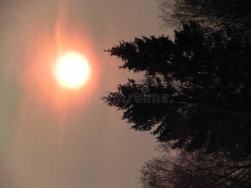 Bright Sun. Sun Set Dawn Sun Unusual Rays from the Sun Stock Image ...