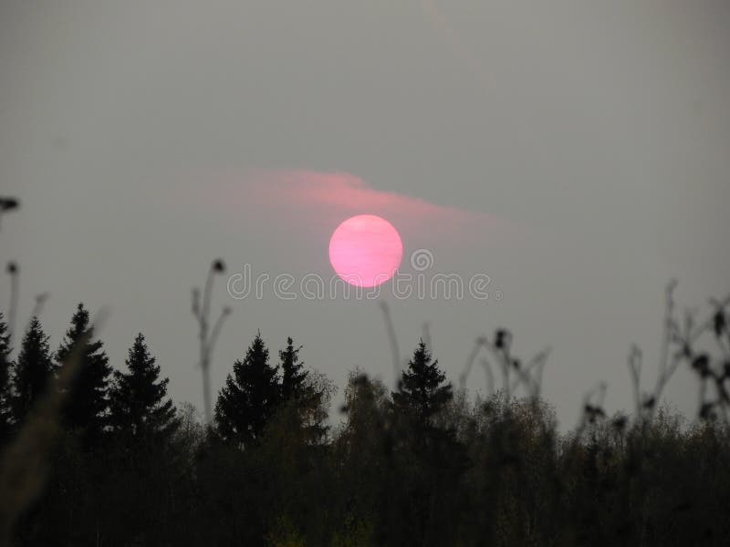 Bright Sun. Sun Set Dawn Sun Unusual Rays from the Sun Stock Image ...