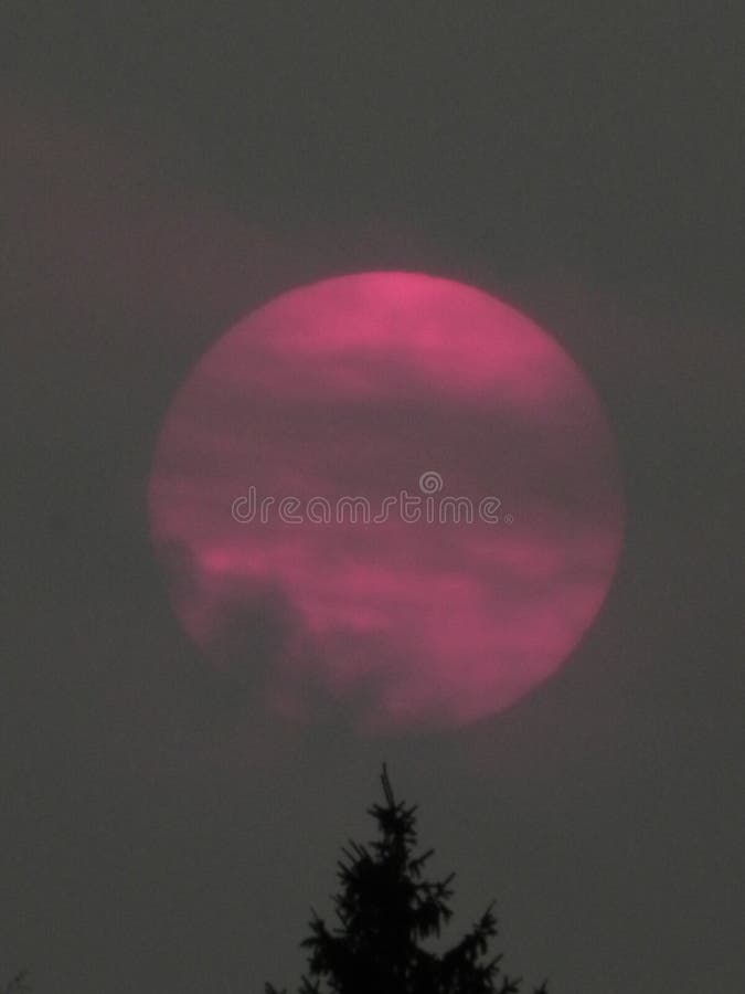 Bright Sun. Sun Set Dawn Sun Unusual Rays from the Sun Stock Image ...