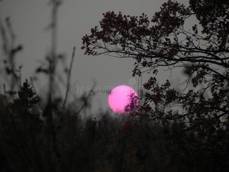 Bright Sun. Sun Set Dawn Sun Unusual Rays from the Sun Stock Photo ...