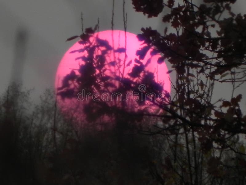 Bright Sun. Sun Set Dawn Sun Unusual Rays from the Sun Stock Image ...