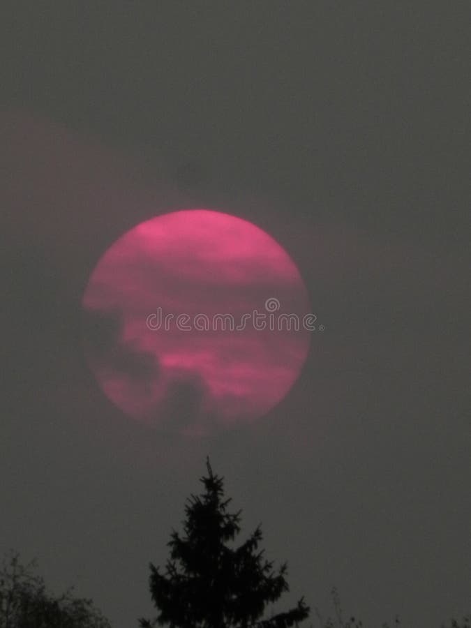 Bright Sun. Sun Set Dawn Sun Unusual Rays from the Sun Stock Photo ...