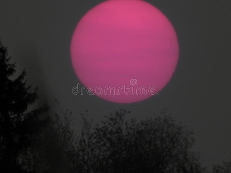 Bright Sun. Sun Set Dawn Sun Unusual Rays from the Sun Stock Image ...