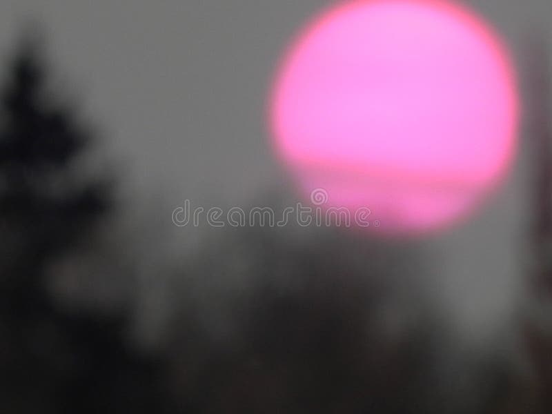 Bright Sun. Sun Set Dawn Sun Unusual Rays from the Sun Stock Image ...