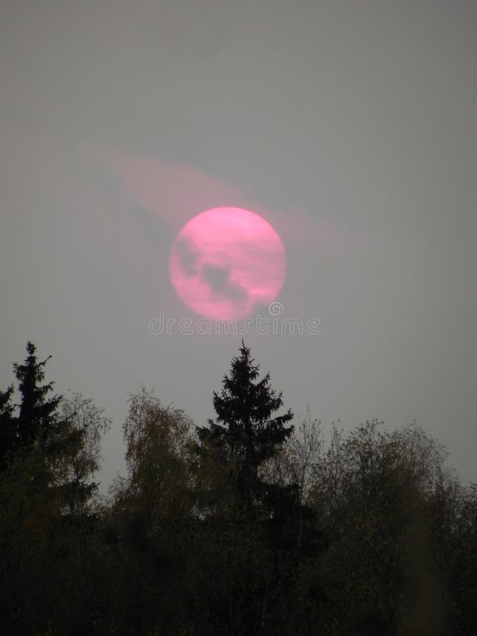 Bright Sun. Sun Set Dawn Sun Unusual Rays from the Sun Stock Photo ...