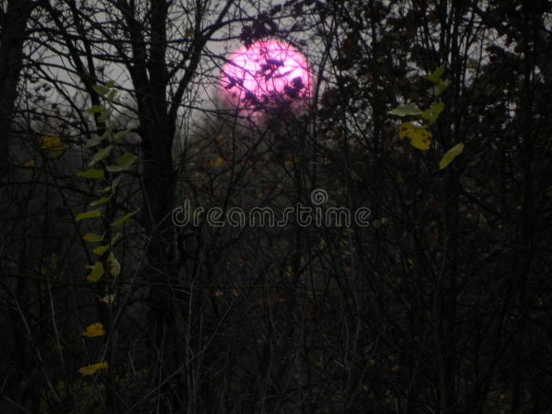 Bright Sun. Sun Set Dawn Sun Unusual Rays from the Sun Stock Photo ...