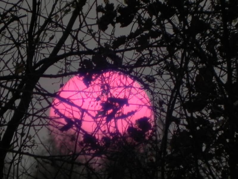 Bright Sun. Sun Set Dawn Sun Unusual Rays from the Sun Stock Photo ...