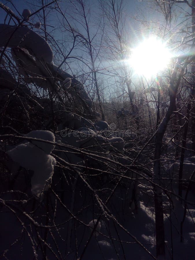 Bright Sun. Sun Set Dawn Sun Unusual Rays from the Sun Stock Image ...