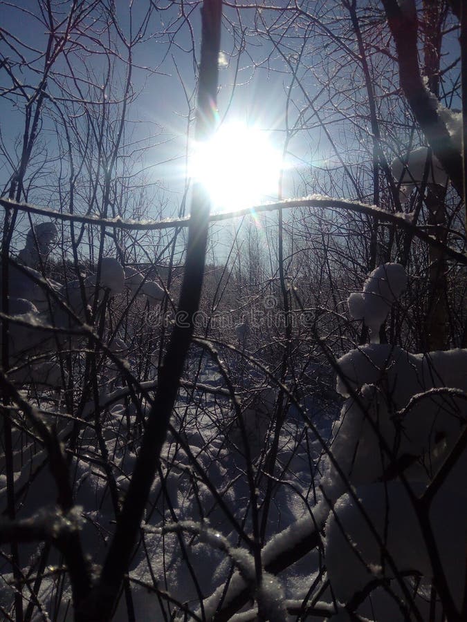 Bright Sun. Sun Set Dawn Sun Unusual Rays from the Sun Stock Image ...