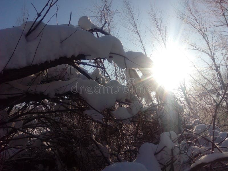 Bright Sun. Sun Set Dawn Sun Unusual Rays from the Sun Stock Photo ...