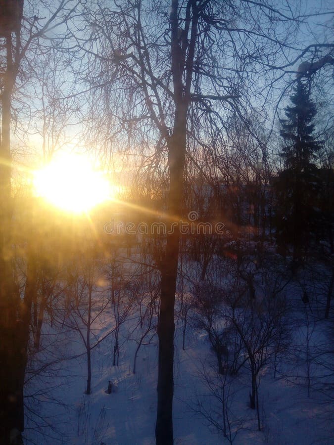 Bright Sun. Sun Set Dawn Sun Unusual Rays from the Sun Stock Image ...