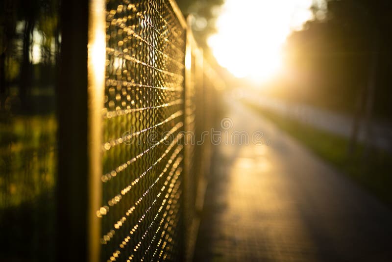 Bright Sun Shining Bright on a Metal Fence Stock Image - Image of ...