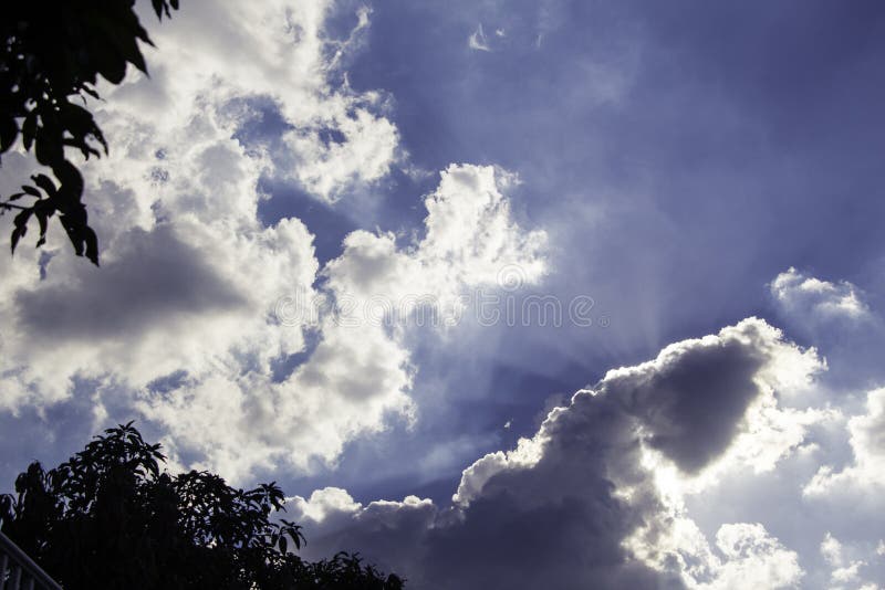 Bright Sun Sky and Some Tree in Shadow. Stock Image - Image of green ...