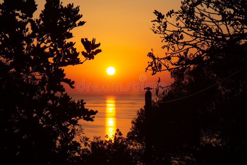 Bright Sun during Sunset and Its Reflection in the Sea Seen through ...
