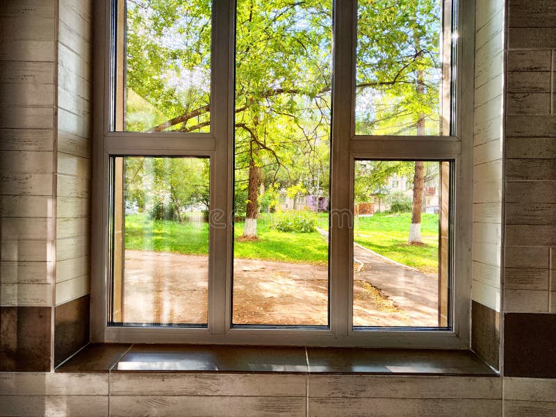 Bright Sunlight Filters through a Large, Modern Window, Revealing Lush ...