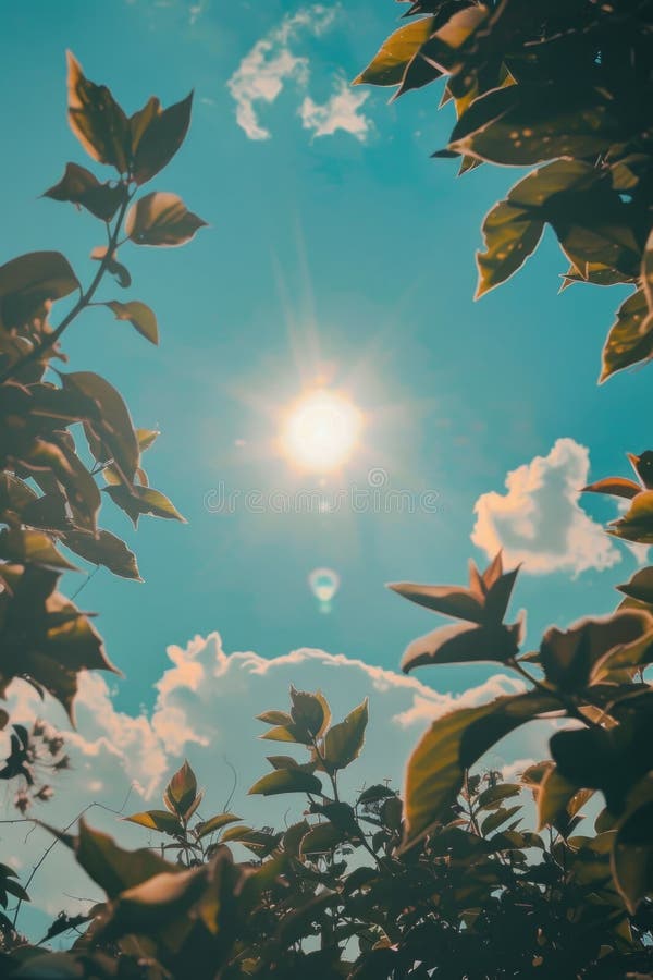 Bright Sunlight Shining Tree Leaves Perfect Nature Backgrounds Stock ...
