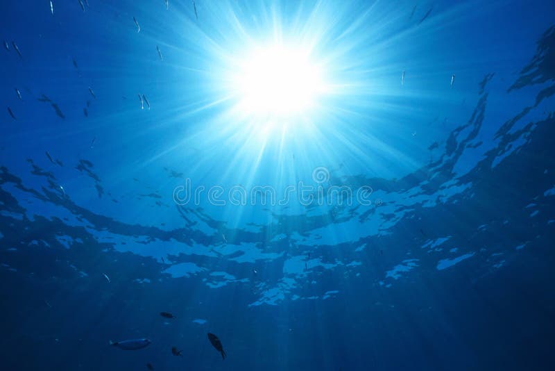 Bright Sunlight Underwater Natural Scene Stock Image - Image of ocean ...