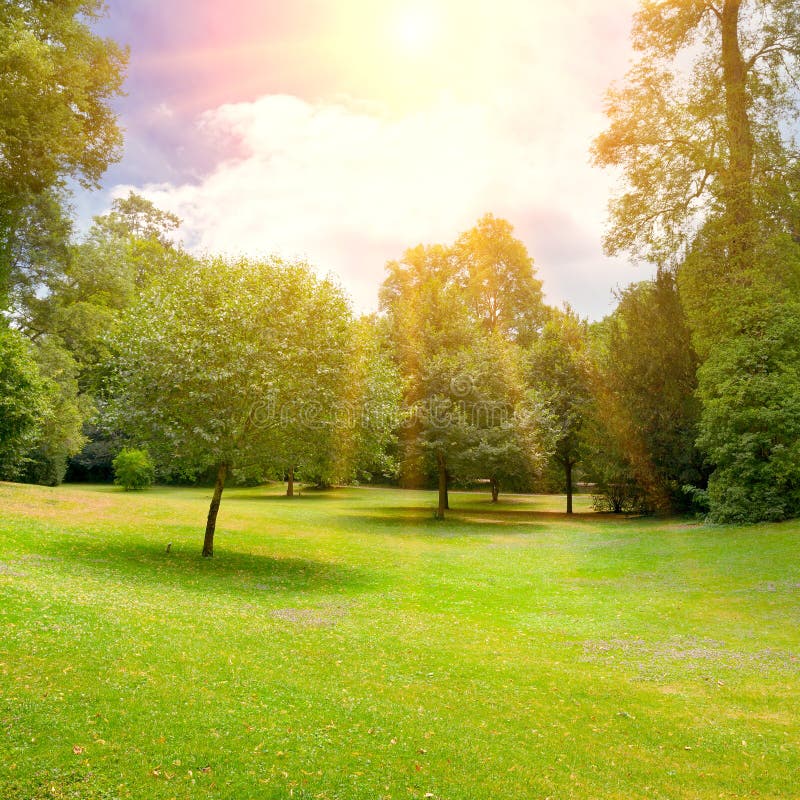 Bright sunny day in park stock photo. Image of land - 233193654