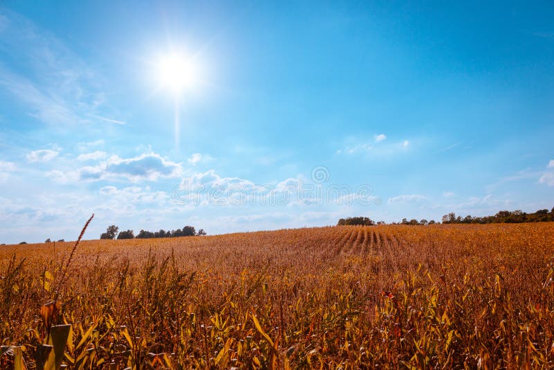 Bright Sunny Fall Day on a Michigan Farm Stock Image - Image of fall ...