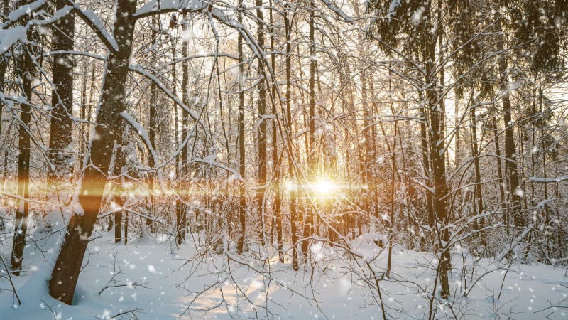Bright Sunny Landscape with Snow Falling Snow and a Small House in the ...