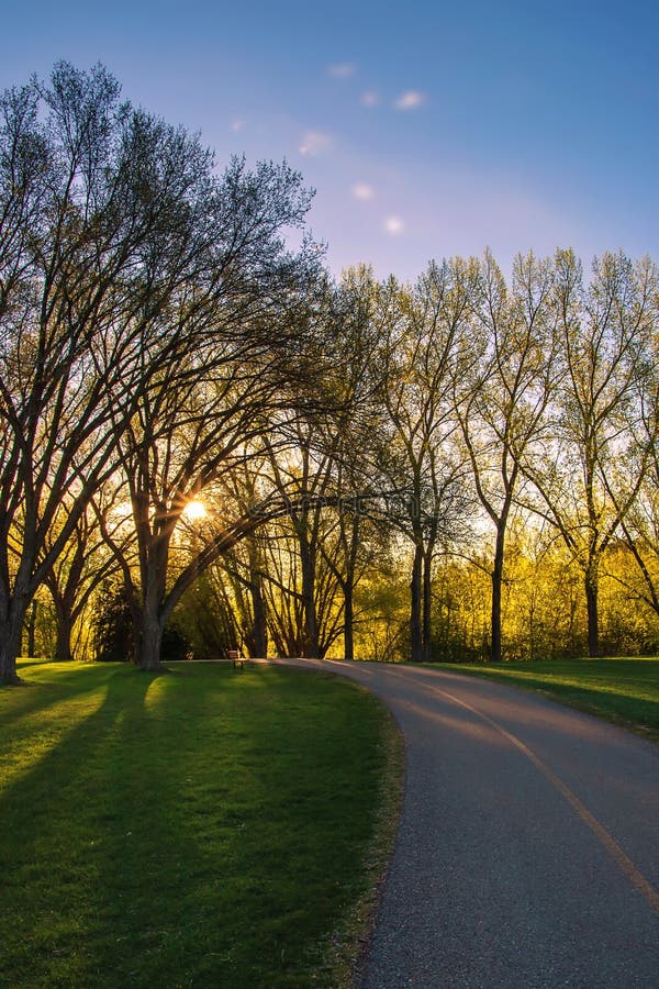 Bright Sun Shining Over a Spring Park Stock Photo - Image of bright ...