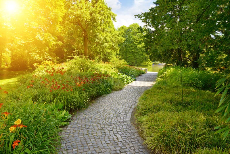 Bright Sunrise, Beautiful Flowers and Trees in the Park Stock Photo ...