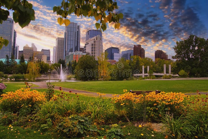 Bright Sunrise Clouds Over a Downtown Calgary Fall Park Stock Image ...