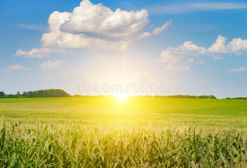 Bright Sunrise in Winter Above Lake of Eye of the Sea, Poland Stock ...