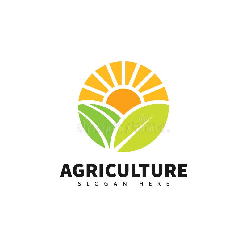 Bright Sunrise Over Fields - Agriculture Logo Design. Stock Vector ...