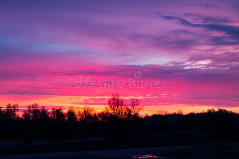 Bright sunrise over trees stock photo. Image of outdoor - 193030112