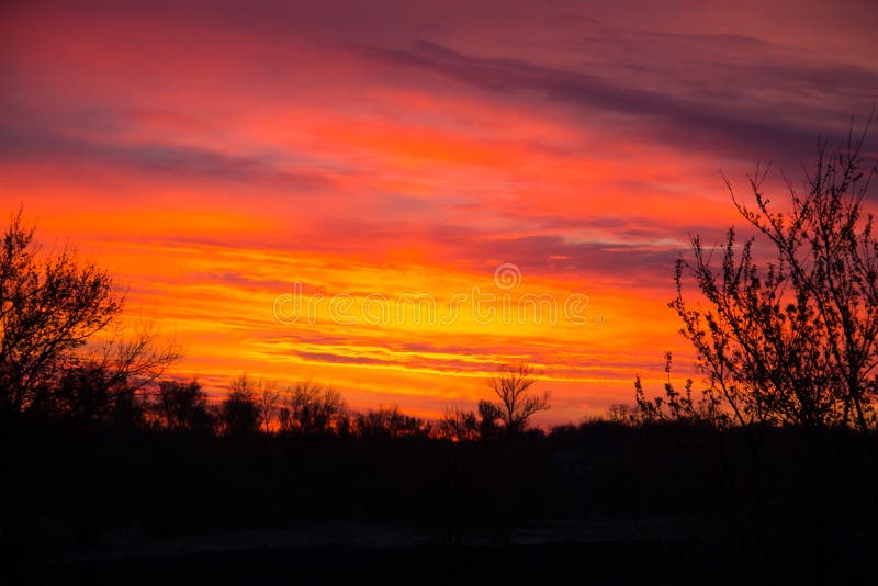 Bright sunrise over trees stock photo. Image of landscape - 205214112