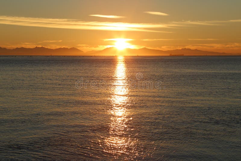 Sunset Beam through on the Tree in the Forest Stock Image - Image of ...