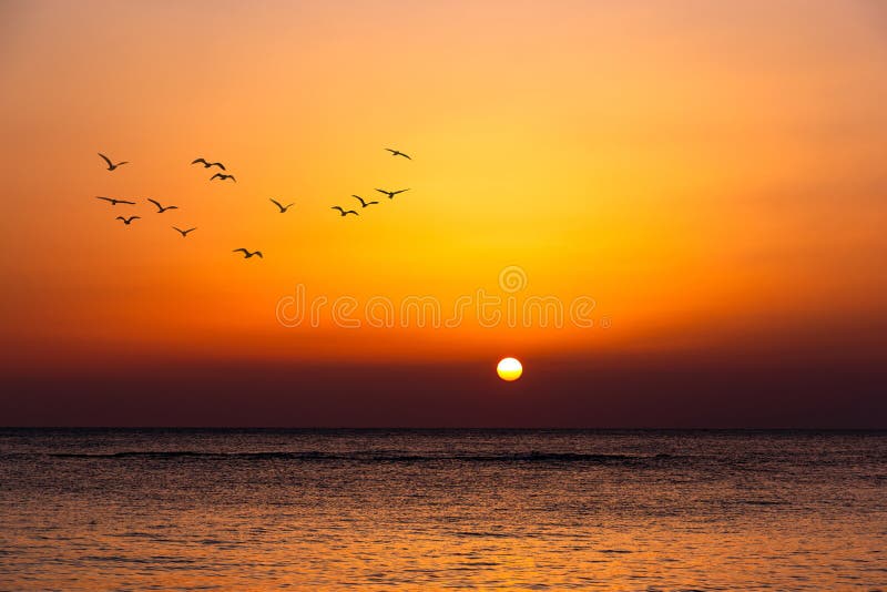 Bright Sunset with a Big Yellow Sun Under the Sea Surface Stock Image ...