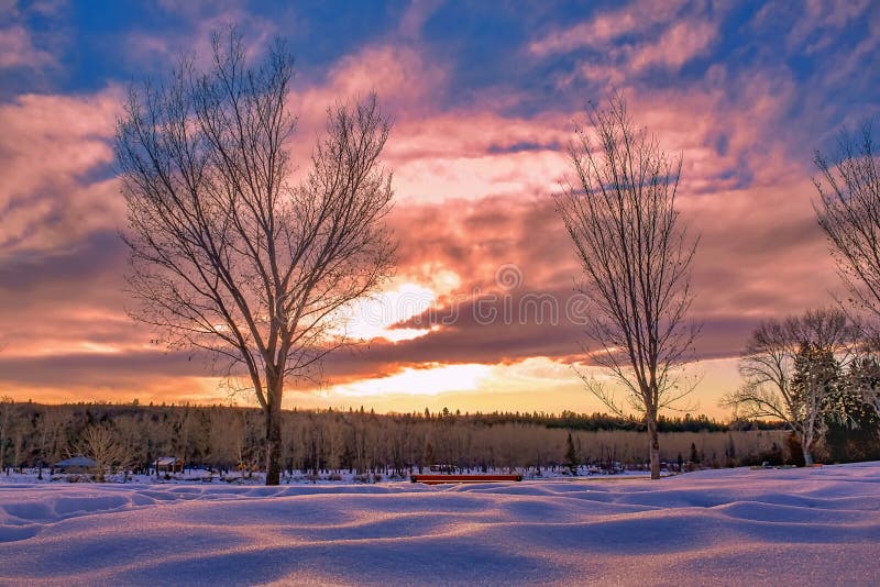 Sunset Sky Over a Wintry Park Stock Photo - Image of sunset, snowy ...
