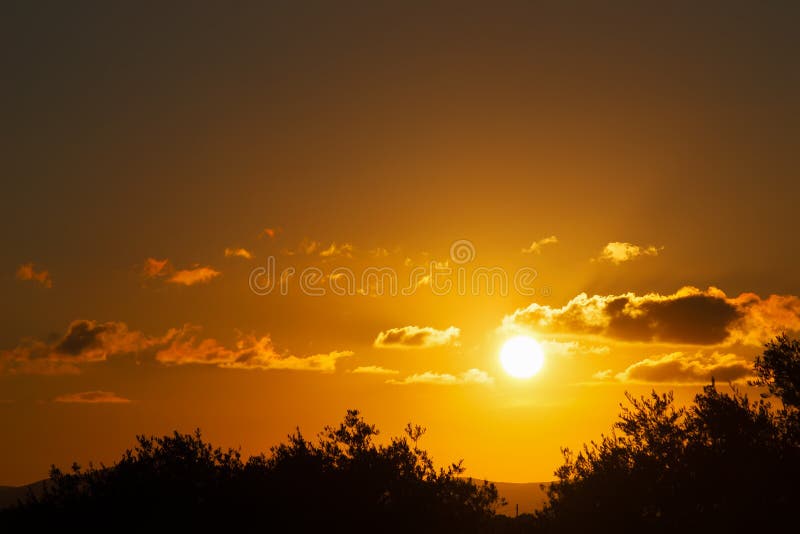 Bright sunset stock image. Image of outside, plant, ecology - 45413655