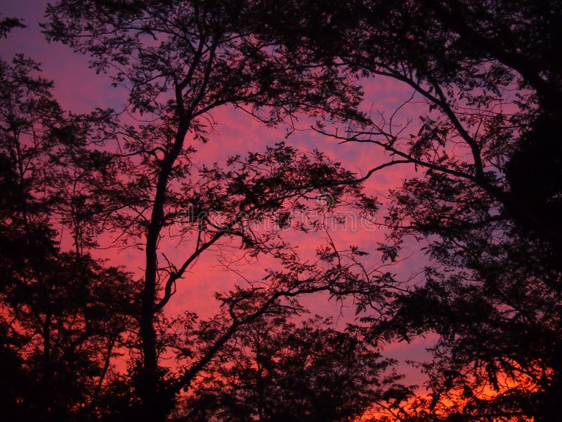 Bright Sunset stock image. Image of effect, covering - 93583981