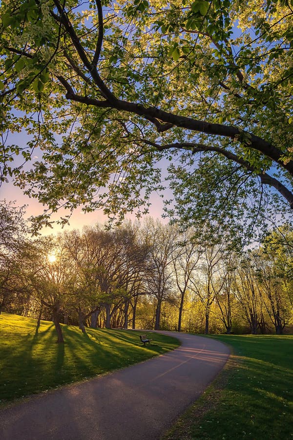 Bright Sunshine Glowing Over a Spring Park Stock Image - Image of ...