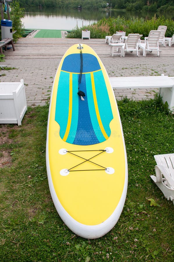 A Bright Surfboard Lies on the Green Grass after or before Training ...