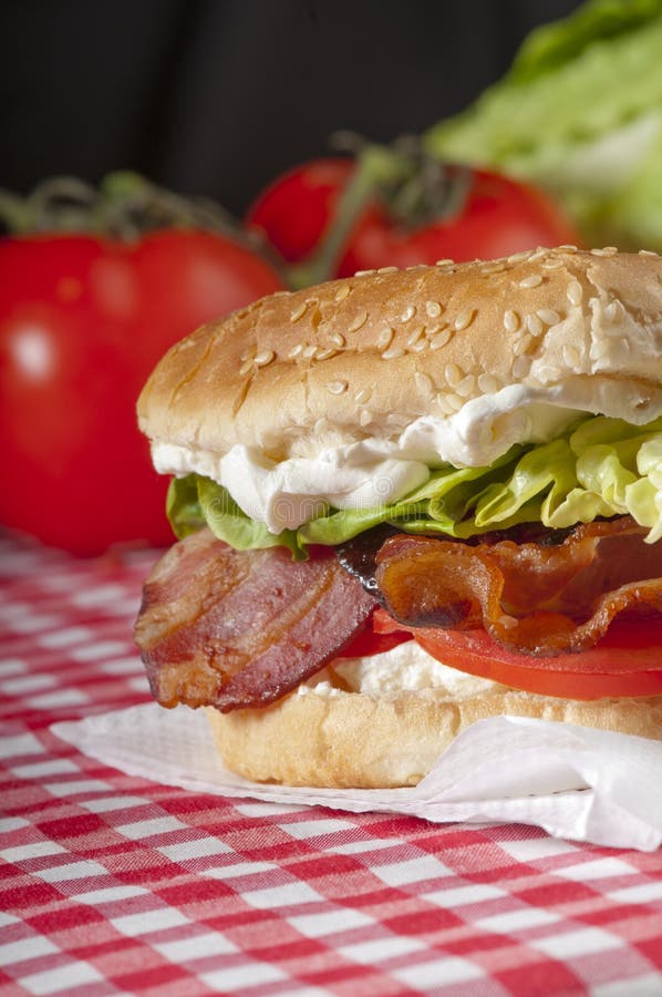 Bright, Tasty and Healthy BLT Stock Image - Image of green, healthy ...