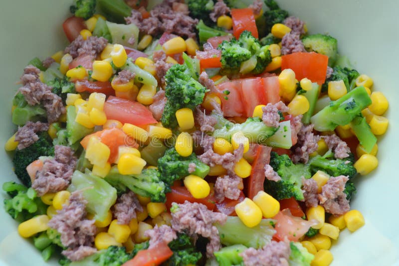 Vegetable Salad and Minced Meat Stock Image - Image of food, vegetables ...