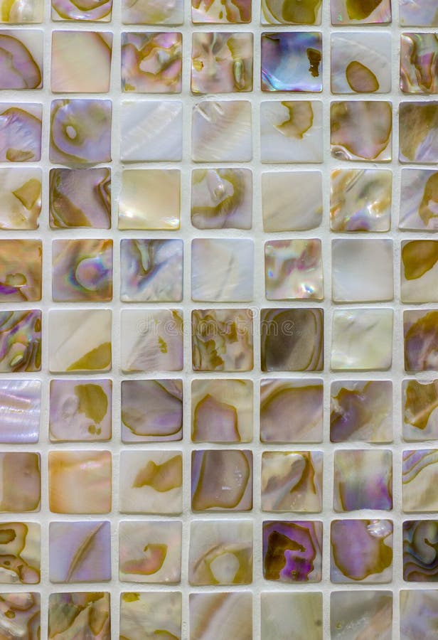 Bright Tile of Shells, Texture Stock Image - Image of square ...