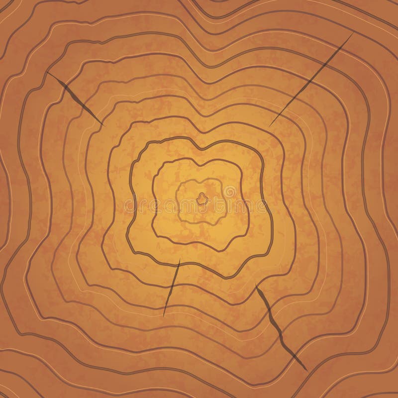 Bright Tree Rings, Square Realistic Illustration Stock Illustration ...