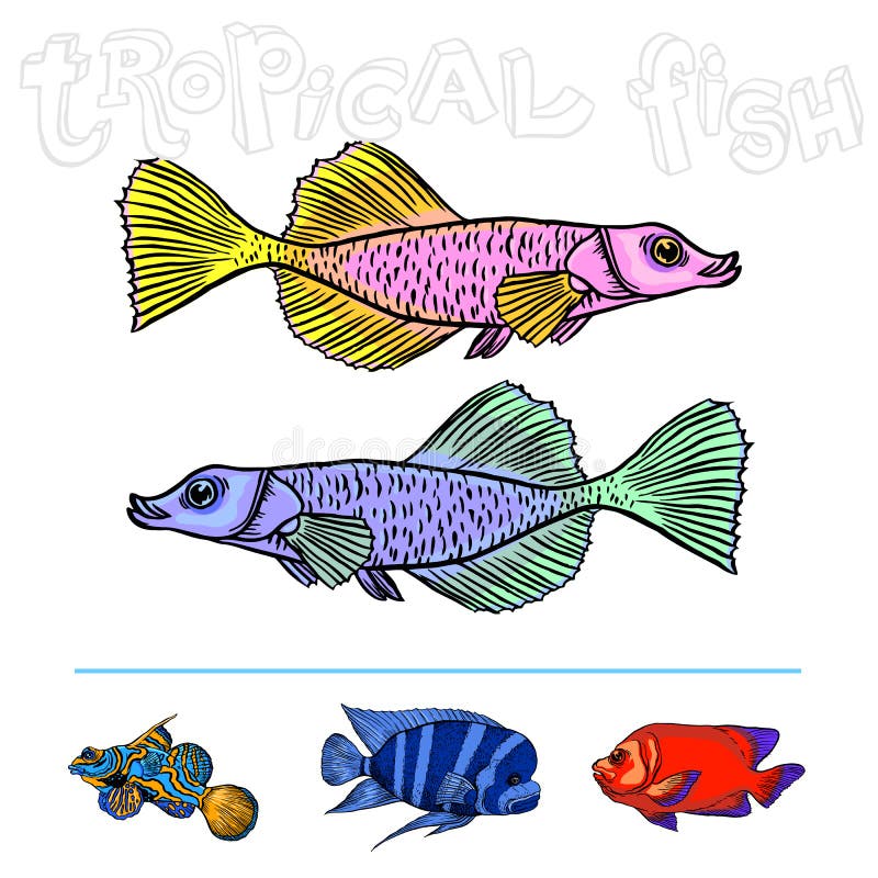 Bright tropical sea fish stock vector. Illustration of background ...