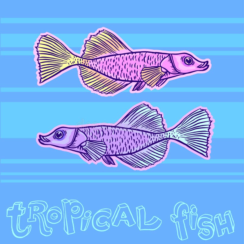 Bright tropical sea fish stock vector. Illustration of life - 95820530