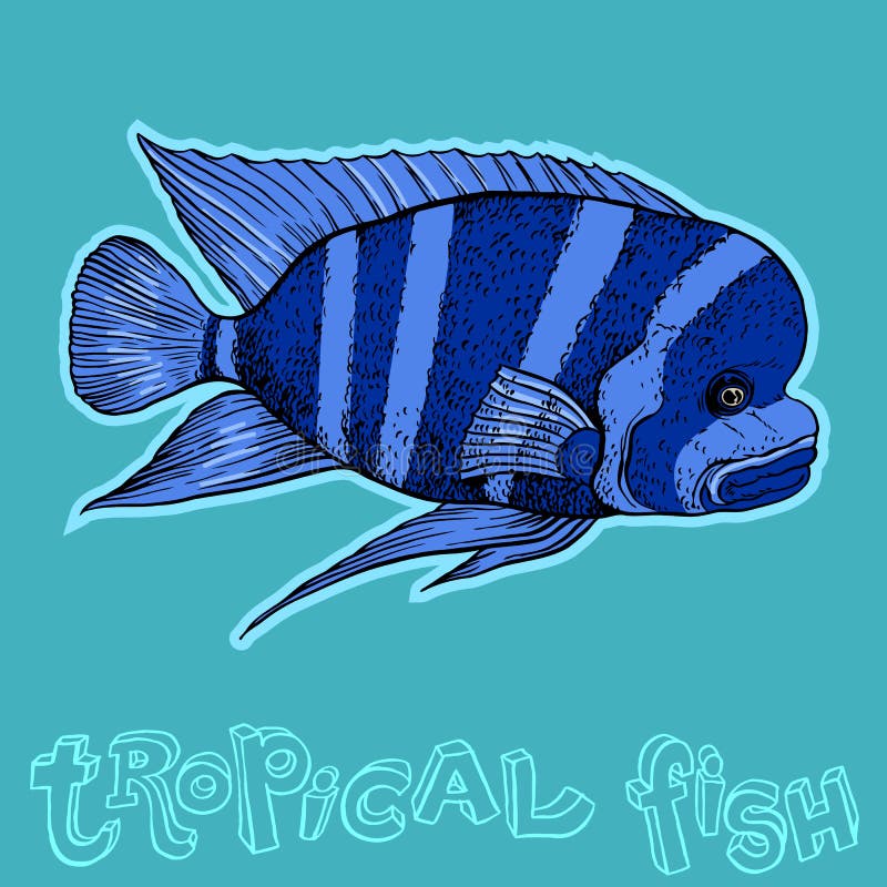 Bright tropical sea fish stock vector. Illustration of background ...