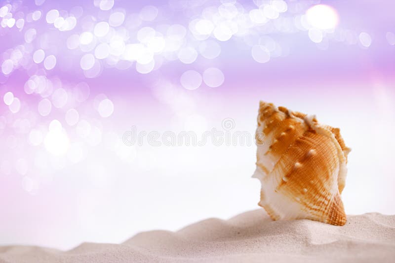 Beautiful Bright Sea Shell on Blue Pebble Under Water Droplets Stock ...
