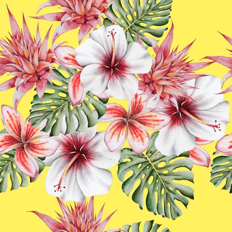 Tropical Flowers Bromeliad Seamless Pattern Stock Illustrations 93